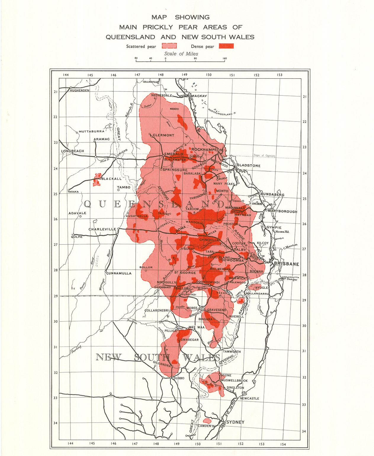 The Prickly Pear problem - Stories from the Archives
