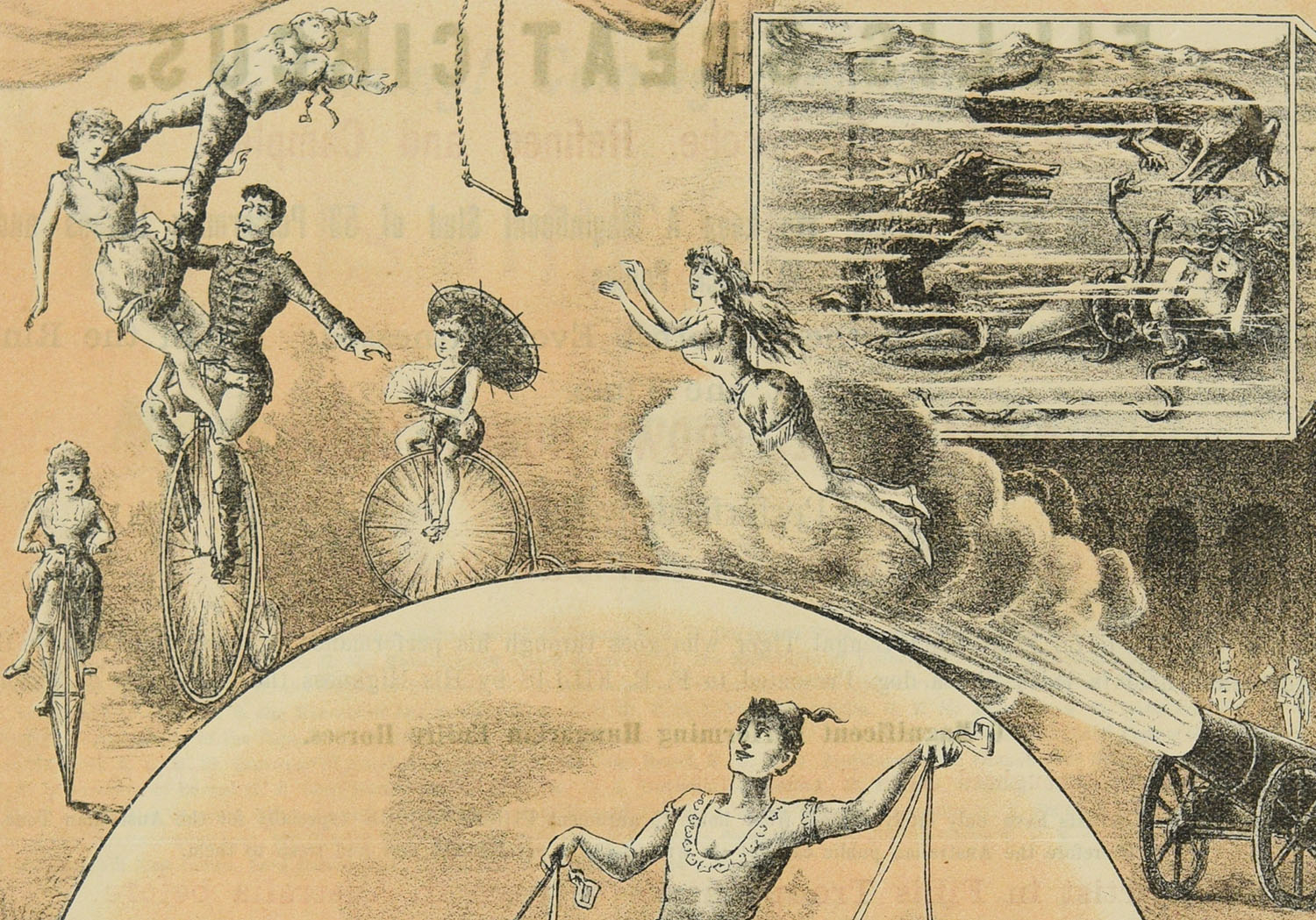 Mr Fillis’ Circus - Stories from the Archives