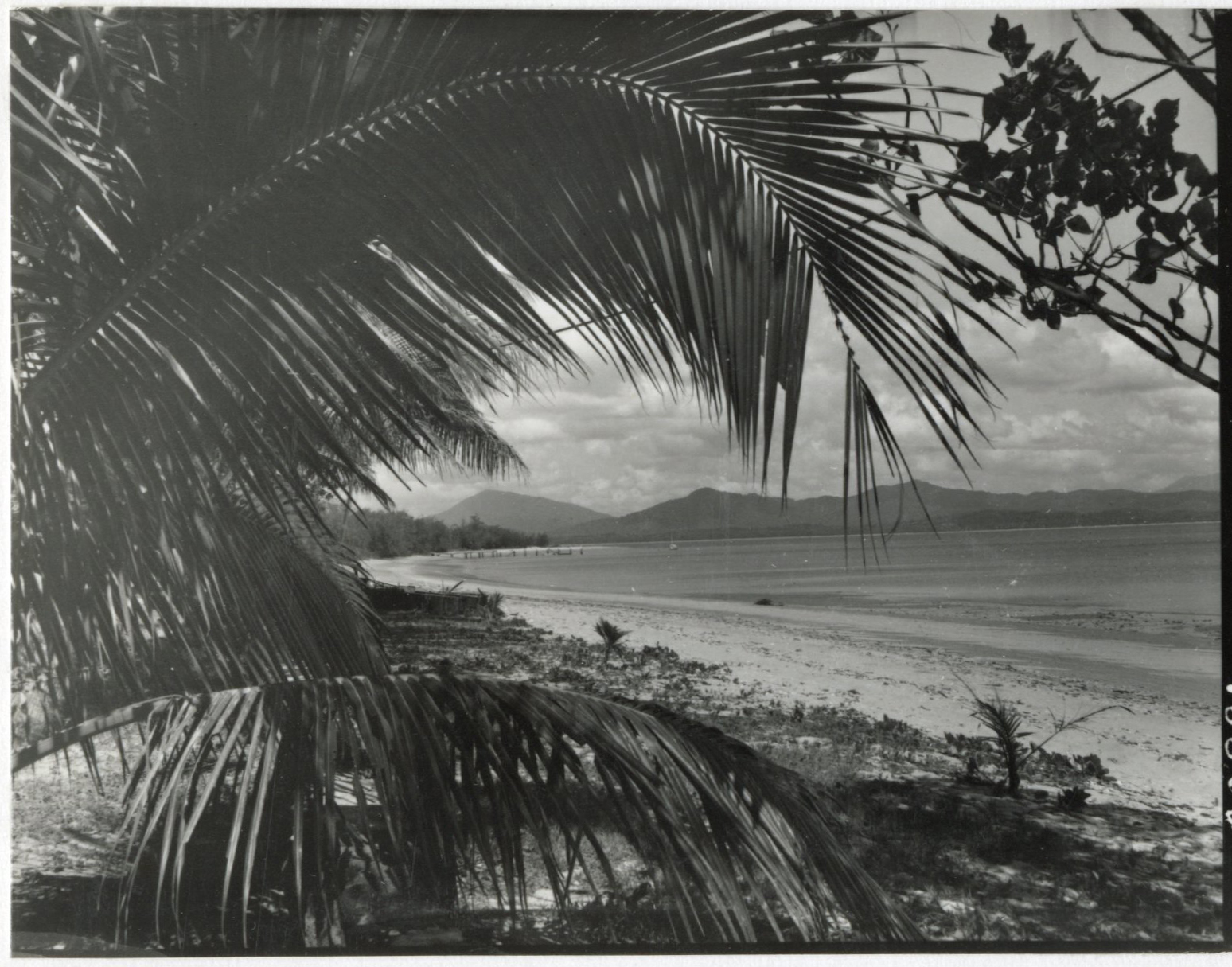 Island Escape: Dunk Island - Stories from the Archives